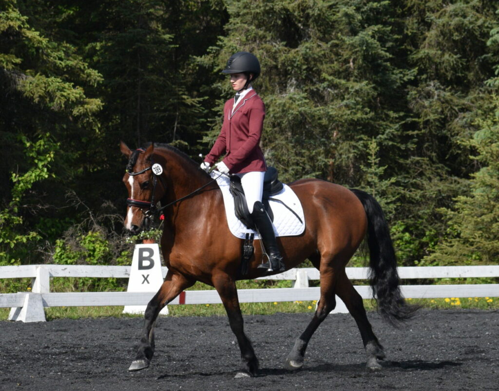 ADA Board Members | Alaska Dressage Association